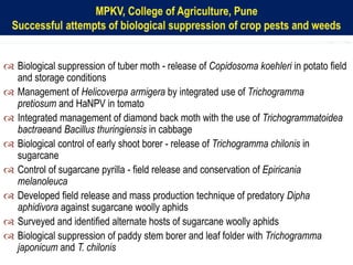 Biological control by augmentation | PPTX