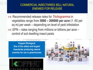 Biological control by augmentation | PPTX