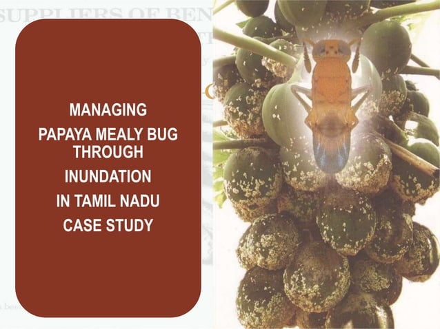 Biological control by augmentation | PPTX