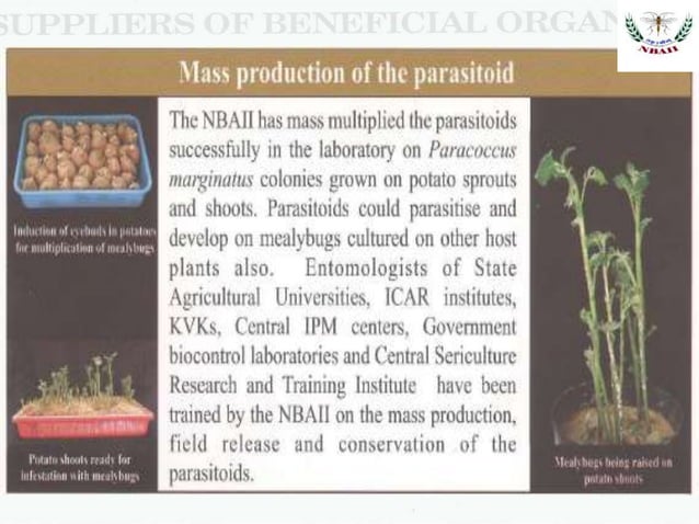 Biological control by augmentation | PPTX