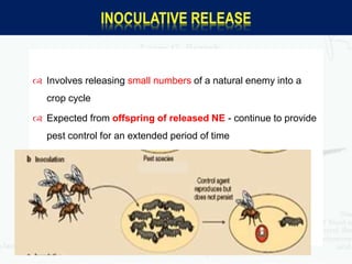 Biological control by augmentation | PPTX