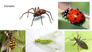 Biological control & its strategies | PPTX