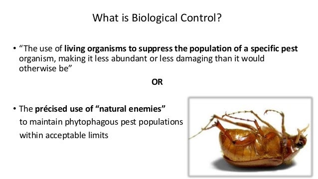 Biological control & its strategies