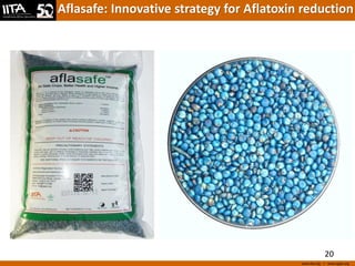 Contrôl biologique des aflatoxines en Afrique avec Aflasafe | PDF