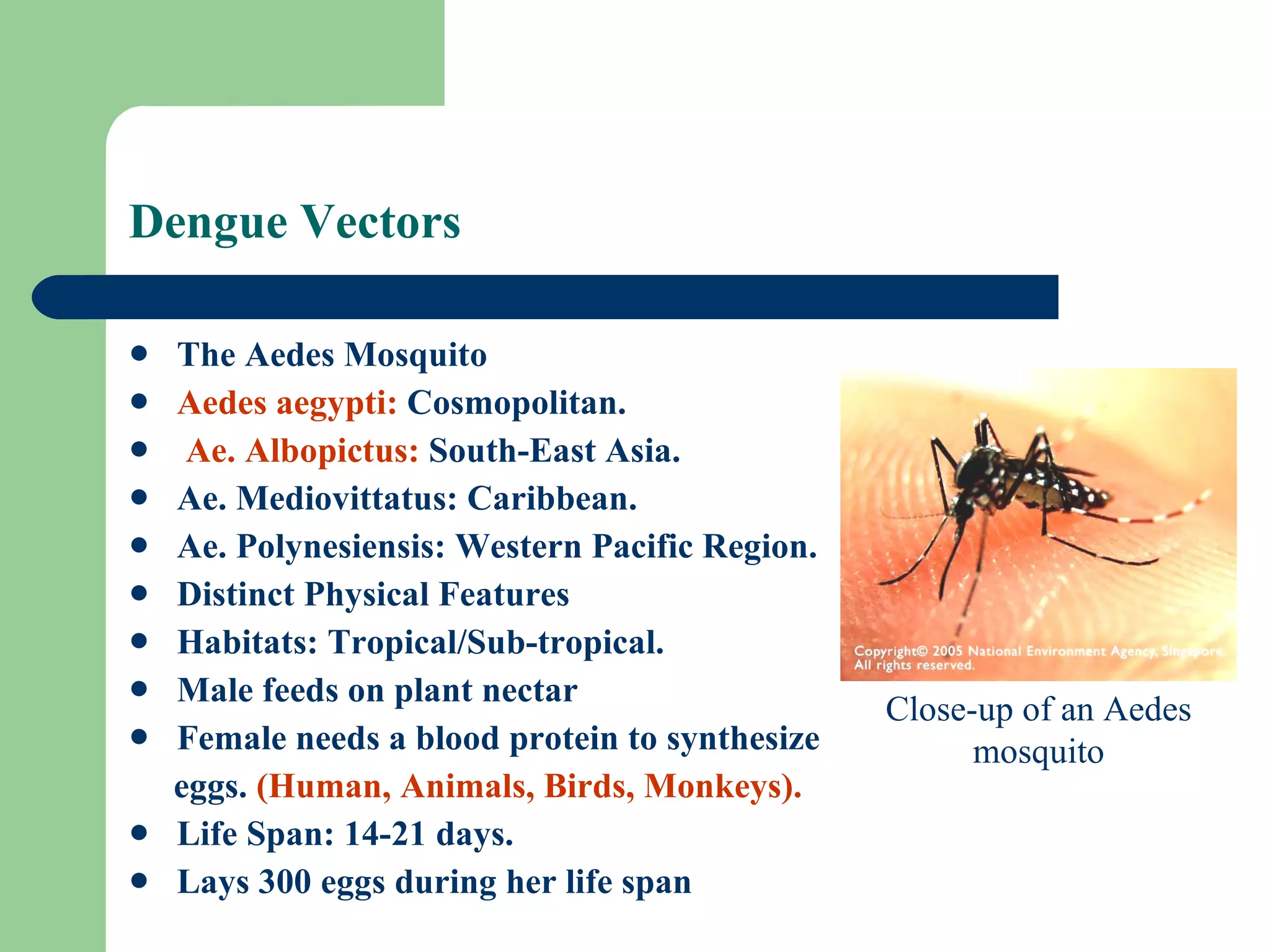 Biological control of dengue | PPT
