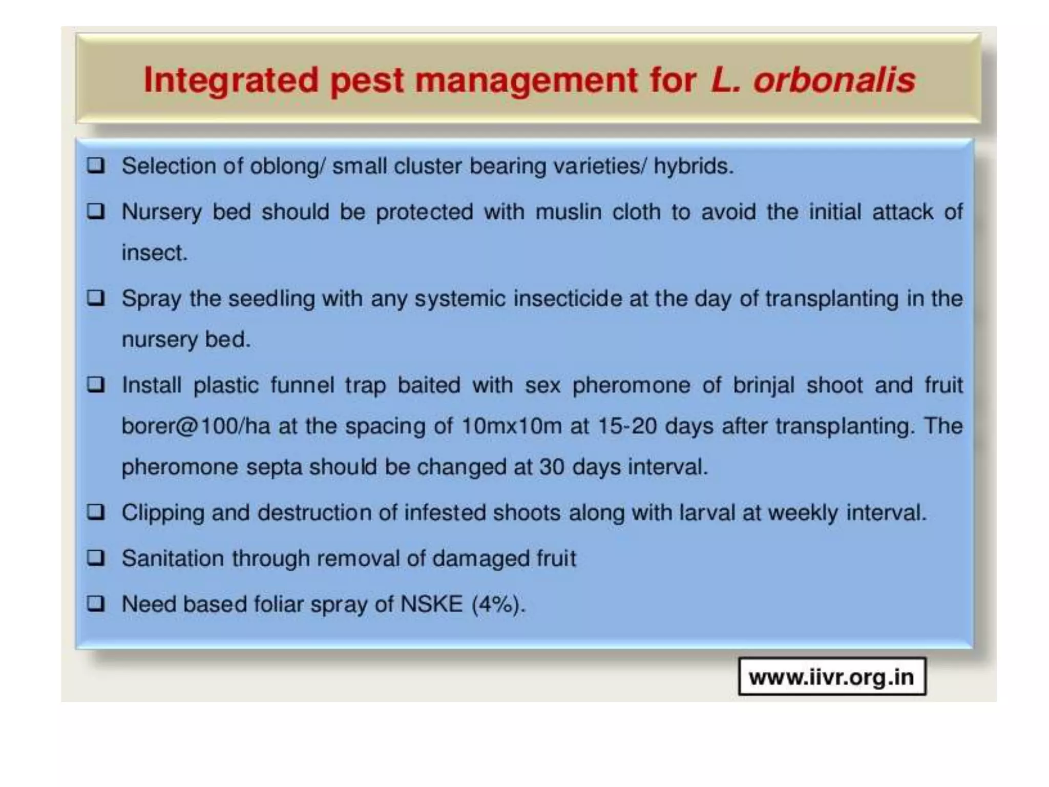 Biological control of insects pests by allah dad khan | PPTX