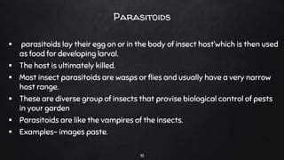 Biological control of insects pest with reference to predatores and parasitoids ankit sharda | PPTX
