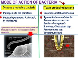 BIOLOGICAL CONTROL OF NEMATODES-SSNAIK TNAU | PPT