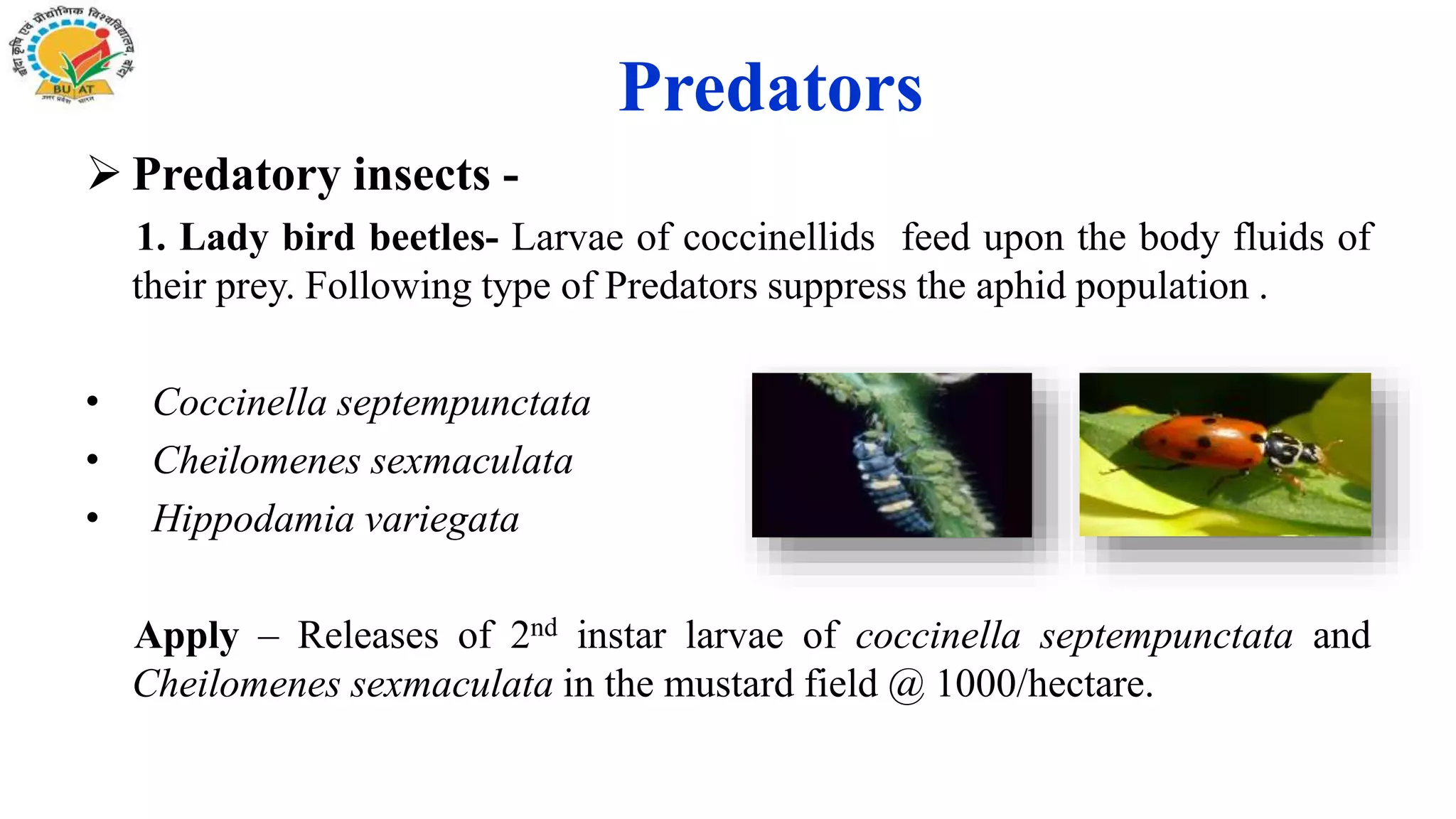 Biological control of oilseed pests | PPTX