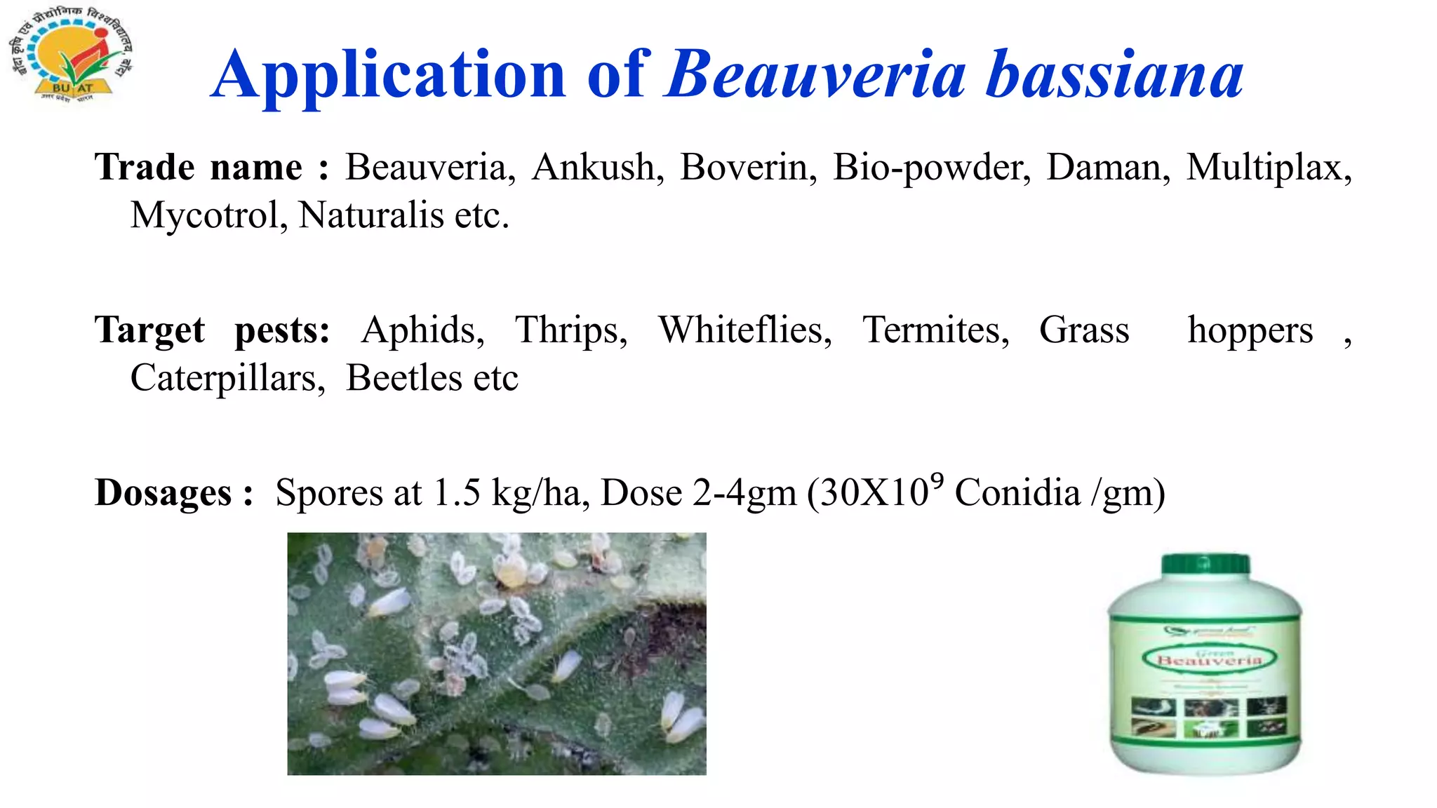 Biological control of oilseed pests | PPTX