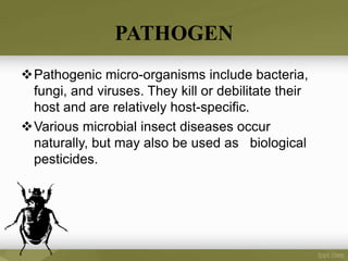 Biological control of pest | PPTX