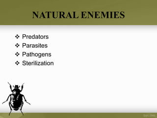 Biological control of pest | PPTX