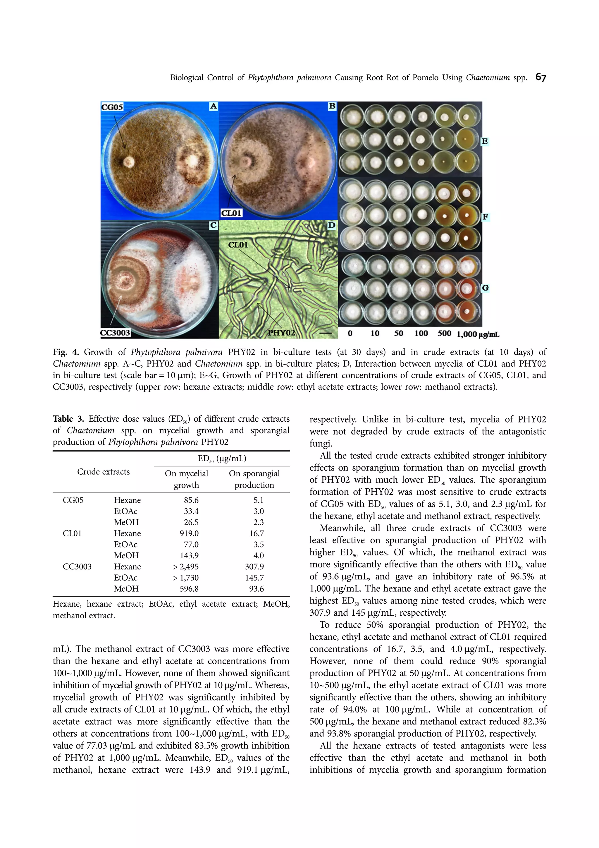 Biological control of phytophthora | PDF