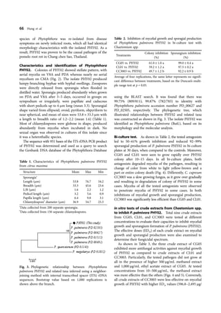 Biological control of phytophthora | PDF