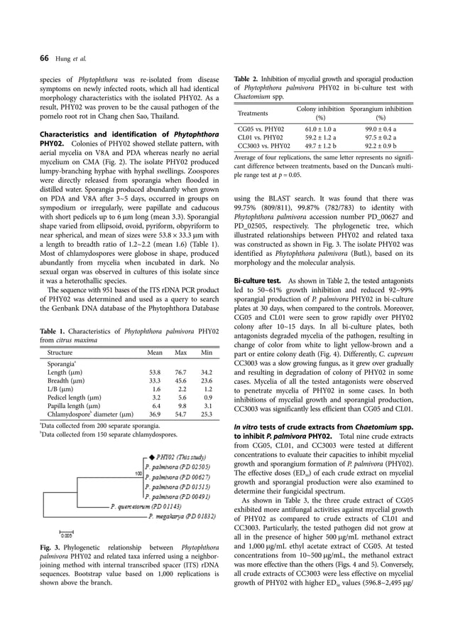 Biological control of phytophthora | PDF