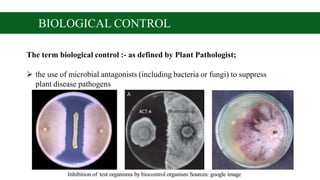 biological control of plantpathogens.pptx