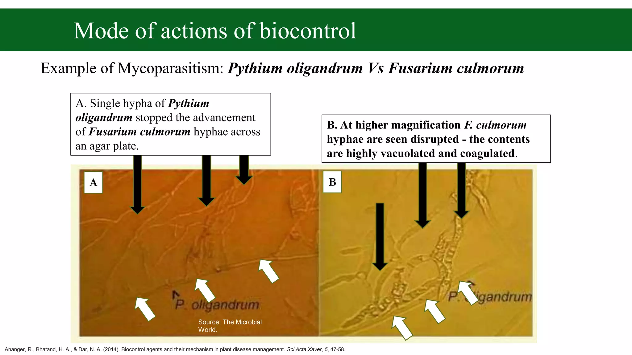 Biological control of plant pathogens | PPTX