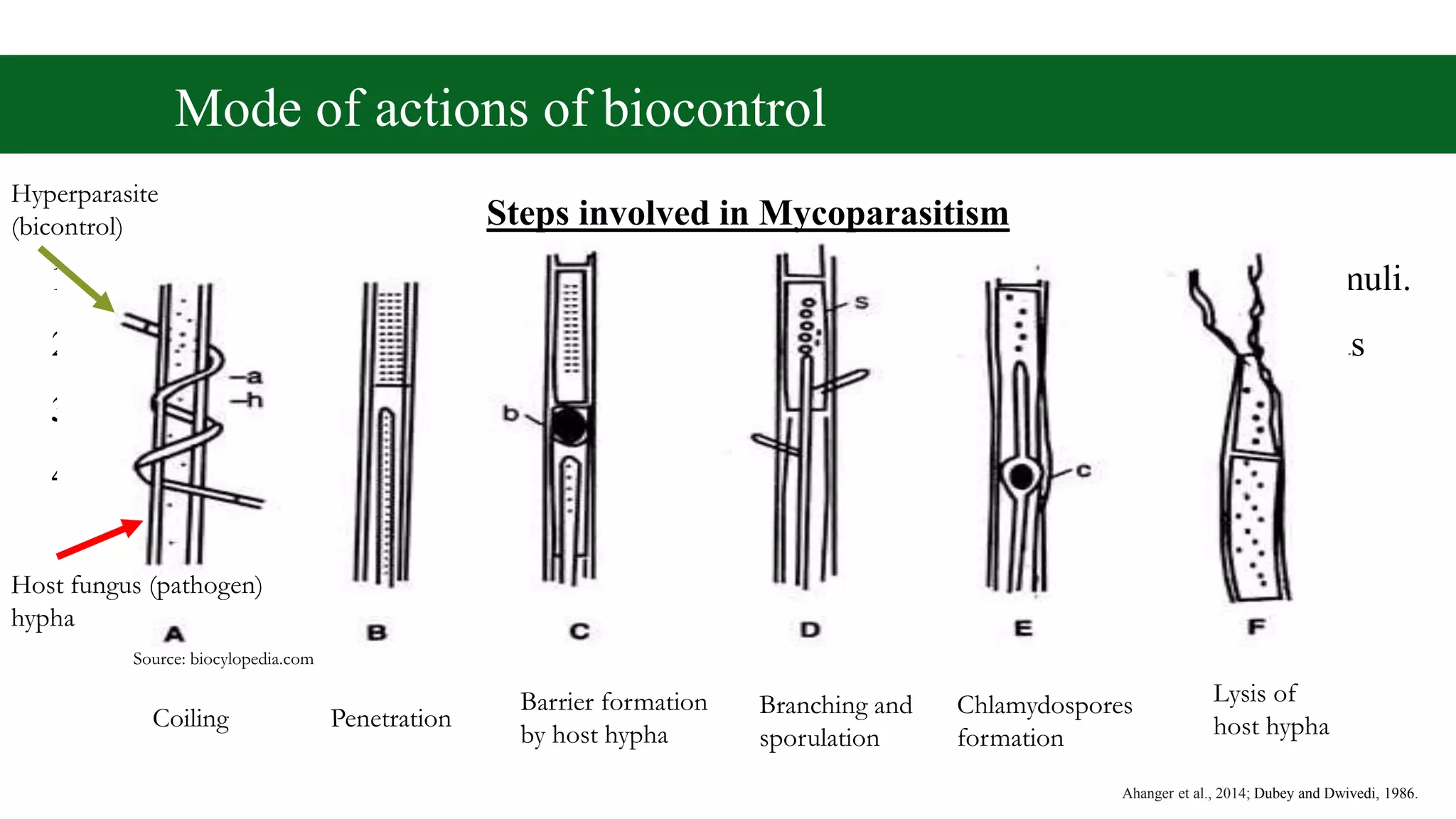 Biological control of plant pathogens | PPTX