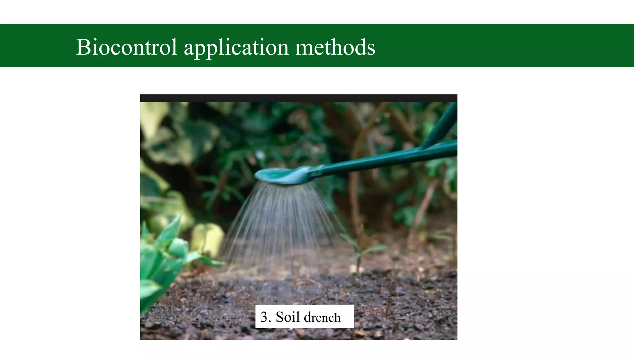Biological control of plant pathogens | PPTX