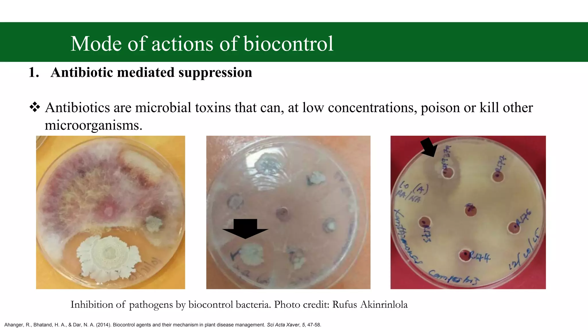 Biological control of plant pathogens | PPTX