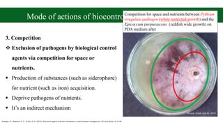 Biological control of plant pathogens | PPTX