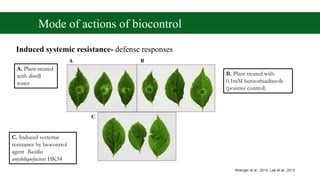 Biological control of plant pathogens | PPTX
