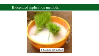 Biological control of plant pathogens | PPTX