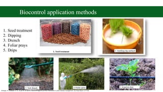 Biological control of plant pathogens | PPTX