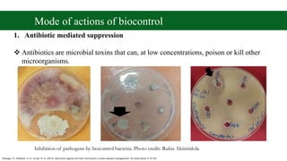 Biological control of plant pathogens | PPTX