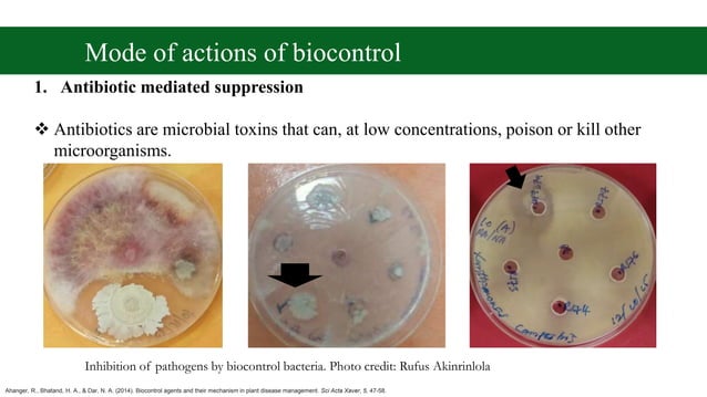 Biological control of plant pathogens | PPT