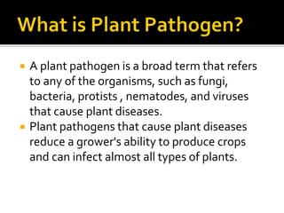 Biological_Control_of_Plant_Pathogens_by.pptx