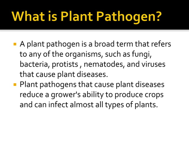 Biological_Control_of_Plant_Pathogens_by.pptx