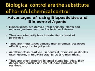 Biological_Control_of_Plant_Pathogens_by.pptx