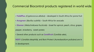 biologicalcontrolofthepostharvestdiseasesoffruits-220209065030.pdf