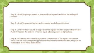 Biological control of weeds | PPT