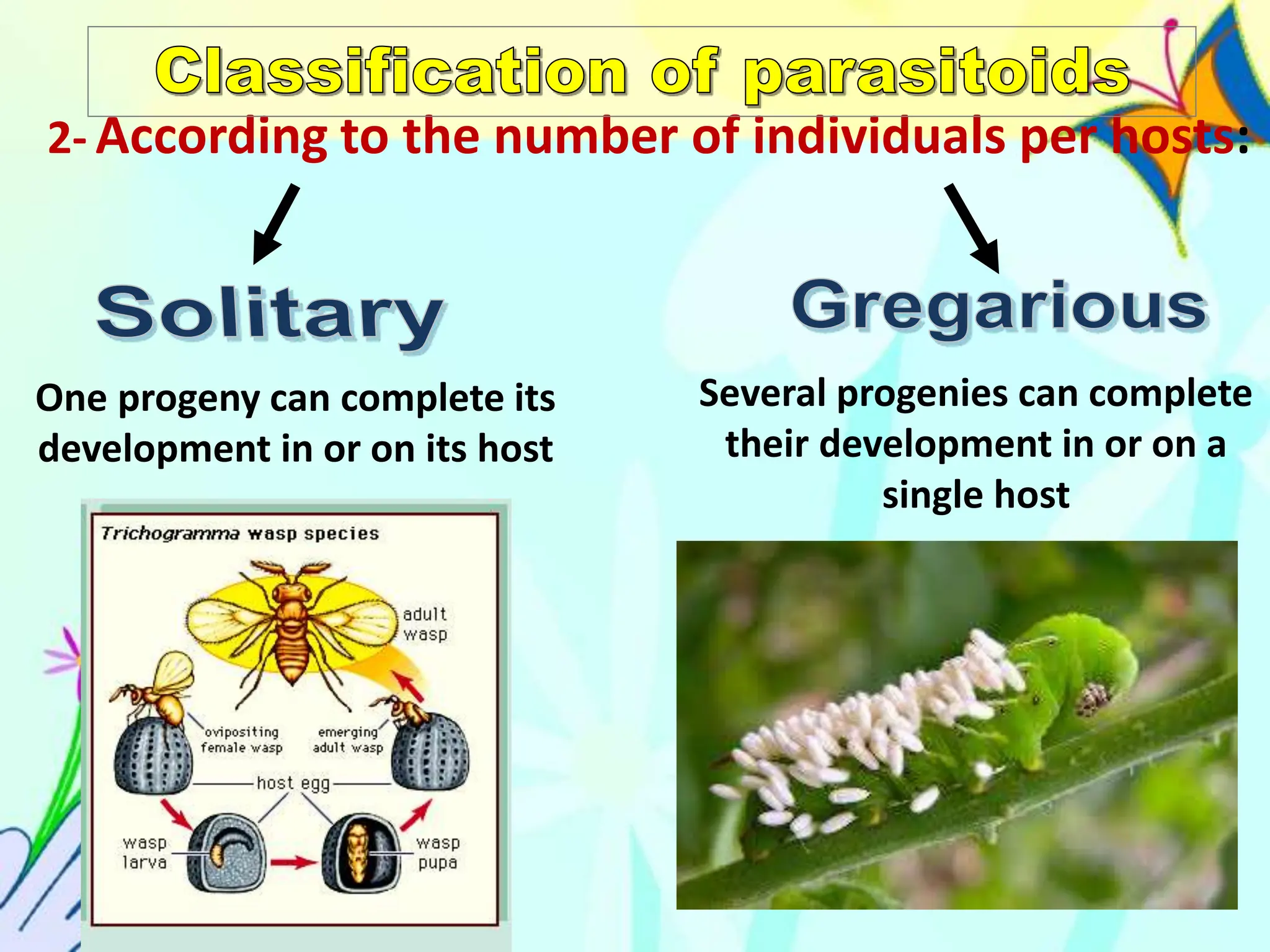 biological control of pests parasitoids.ppt