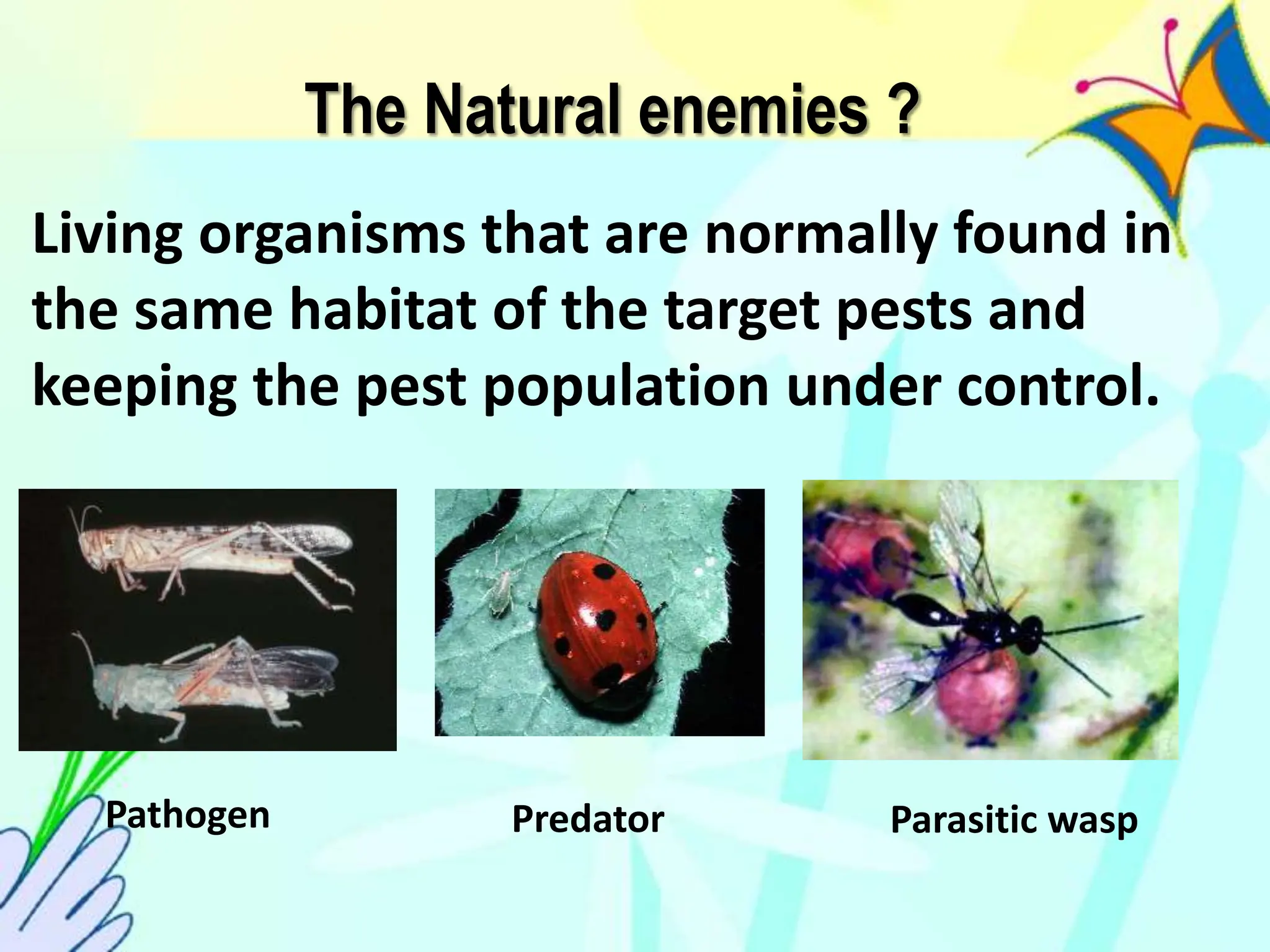 biological control of pests parasitoids.ppt