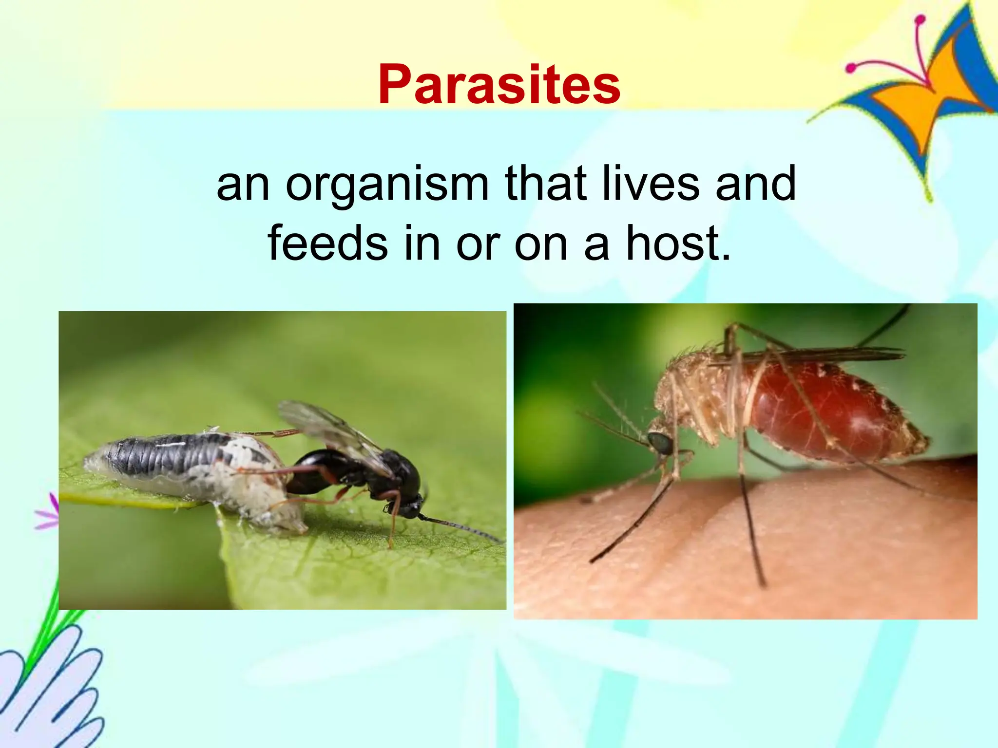 biological control of pests parasitoids.ppt
