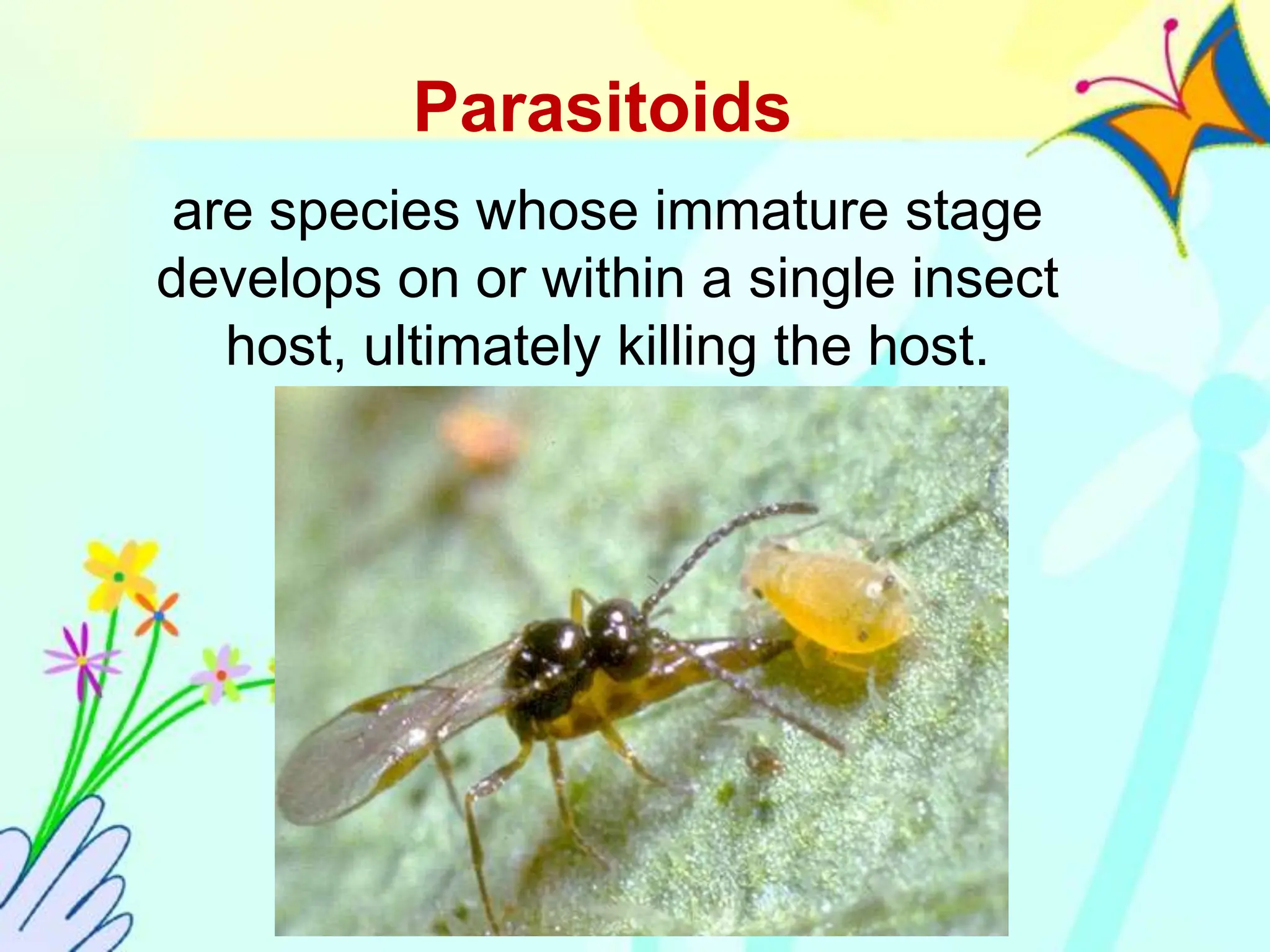 biological control of pests parasitoids.ppt