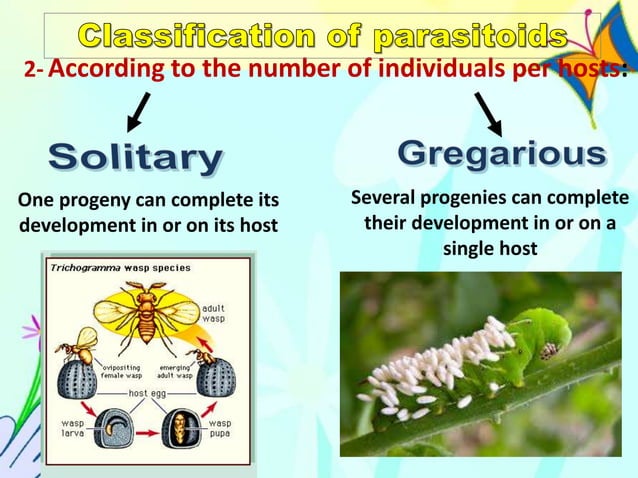 biological control of pests parasitoids.ppt