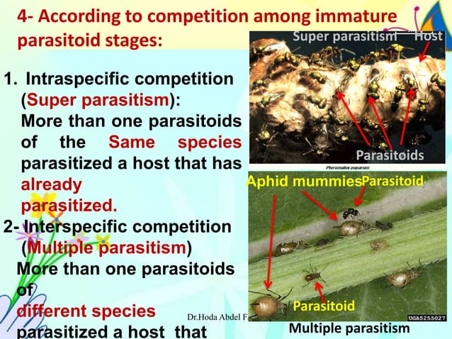 biological control of pests parasitoids.ppt