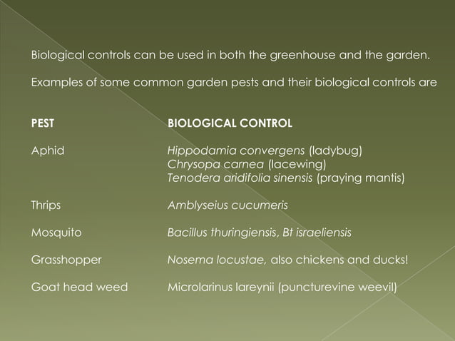 Biological Controls | PPT