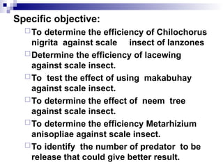 Biological Control Strategies in lanzones.ppt