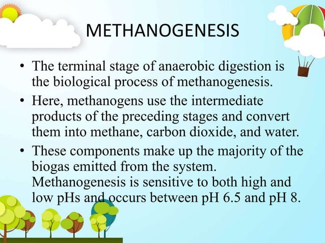 Biological conversion | PPTX | Science