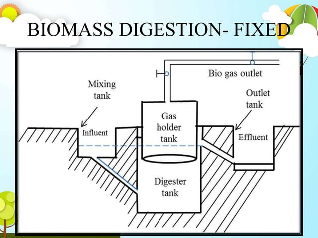Biological conversion | PPTX | Science