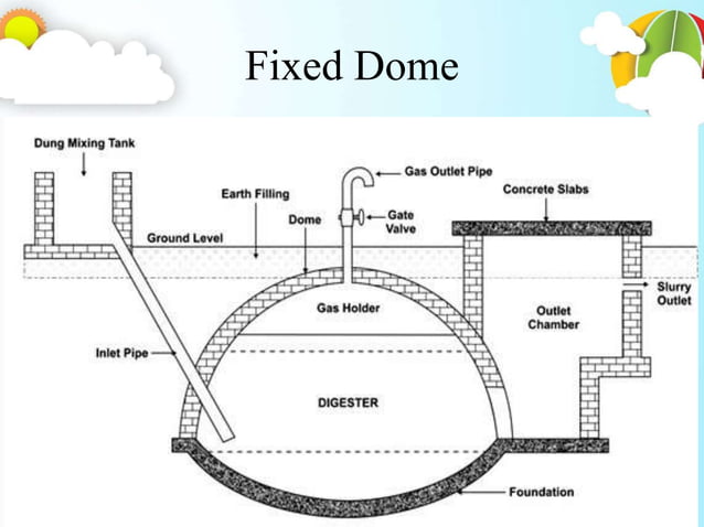 Biological conversion | PPTX | Science