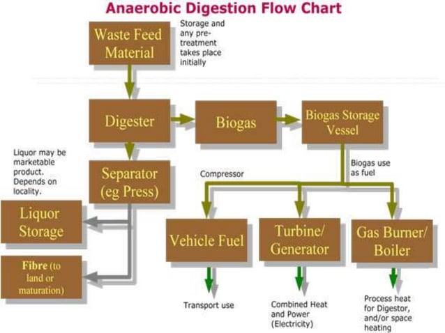 Biological conversion | PPTX | Science