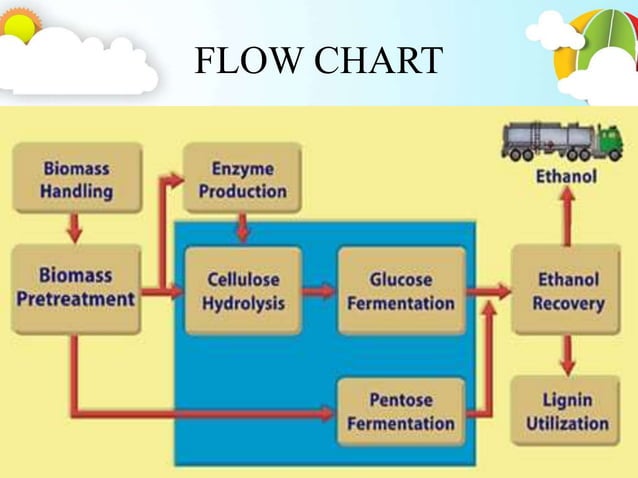 Biological conversion | PPT