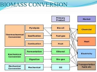 Biological conversion | PPT