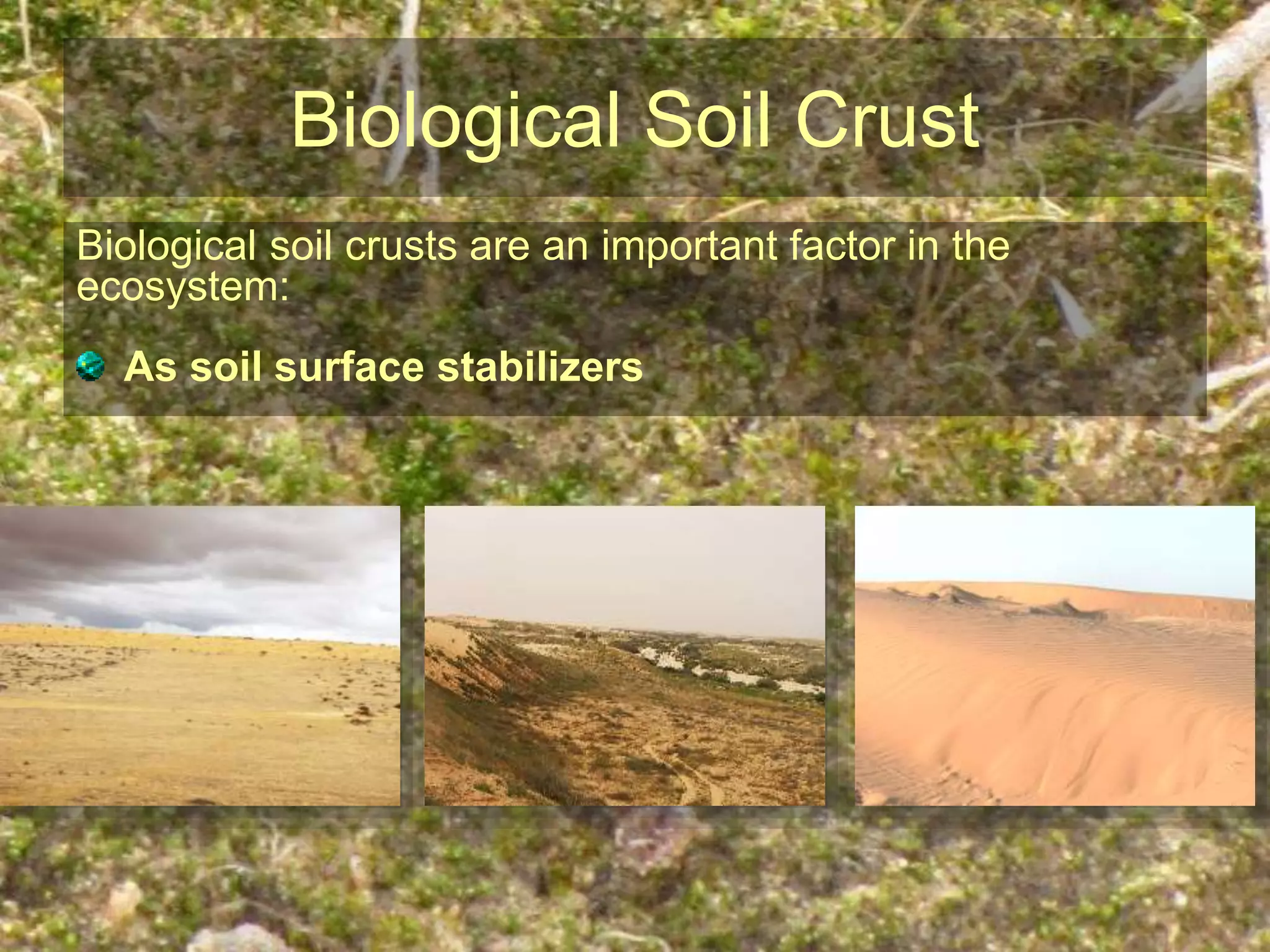 Biological_Crust_English.ppt